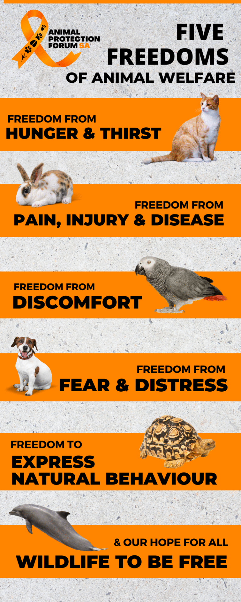 THE FIVE FREEDOMS OF ANIMAL WELFARE - APF SA